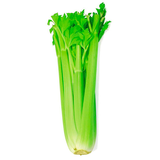 Apio por Pieza – Kenko Foods