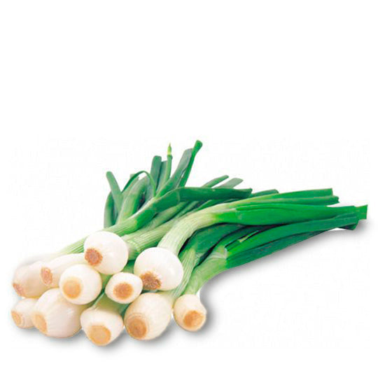 Cebolla Cambray Con Rabo 250 g – Kenko Foods