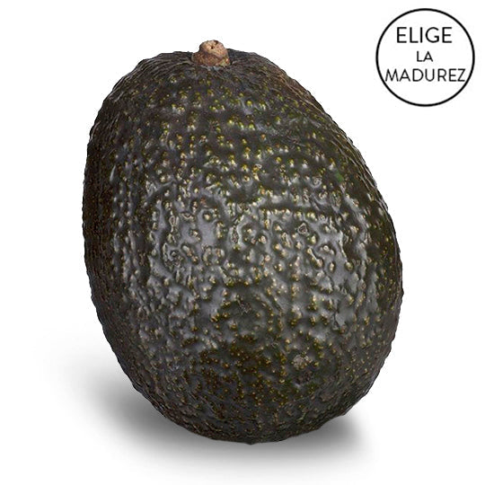 Aguacate Grande 550 g – Kenko Foods