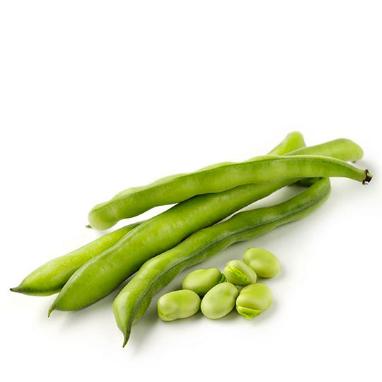 Haba Verde Vaina 500 g – Kenko Foods