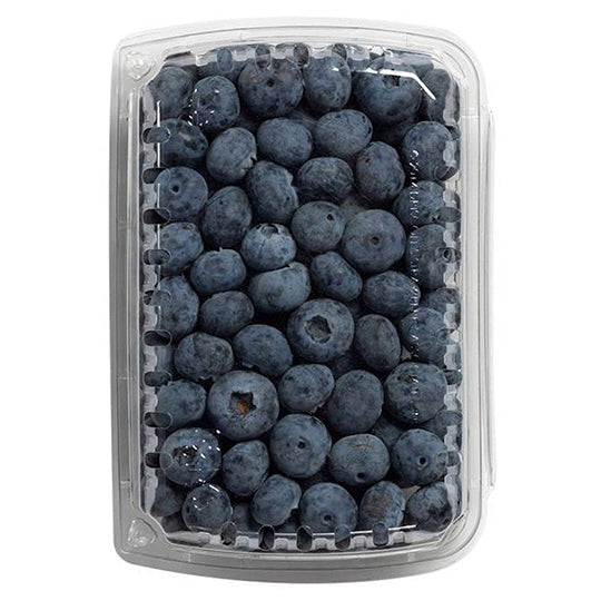 Blueberry, Domo 170 g – Kenko Foods