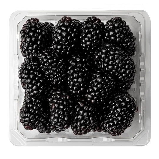 Zarzamora, Domo 170 g – Kenko Foods