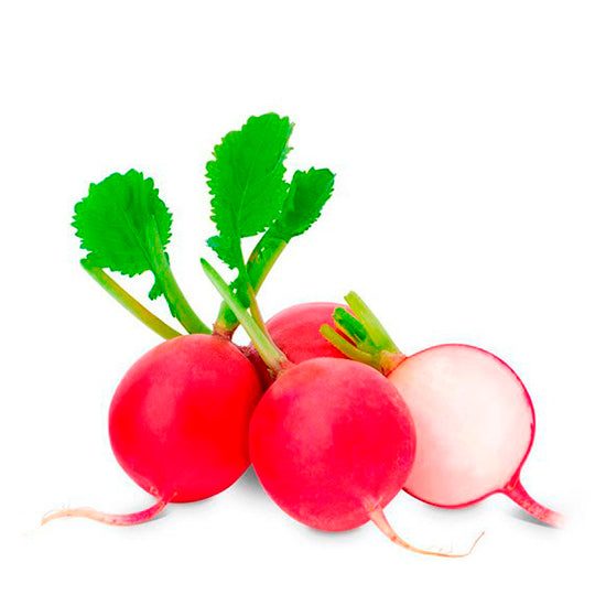 Rabanó Cambray por Kilo – Kenko Foods
